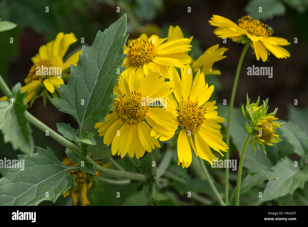 Images licensed March 25 - Page 2 - Stock photography discussion and ...