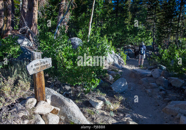 November POTM: Forests - Page 5 - Let's talk about pics - Alamy