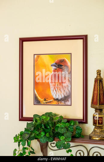 Mounts and Frames - Alamy Quality Control and technical talk - Alamy